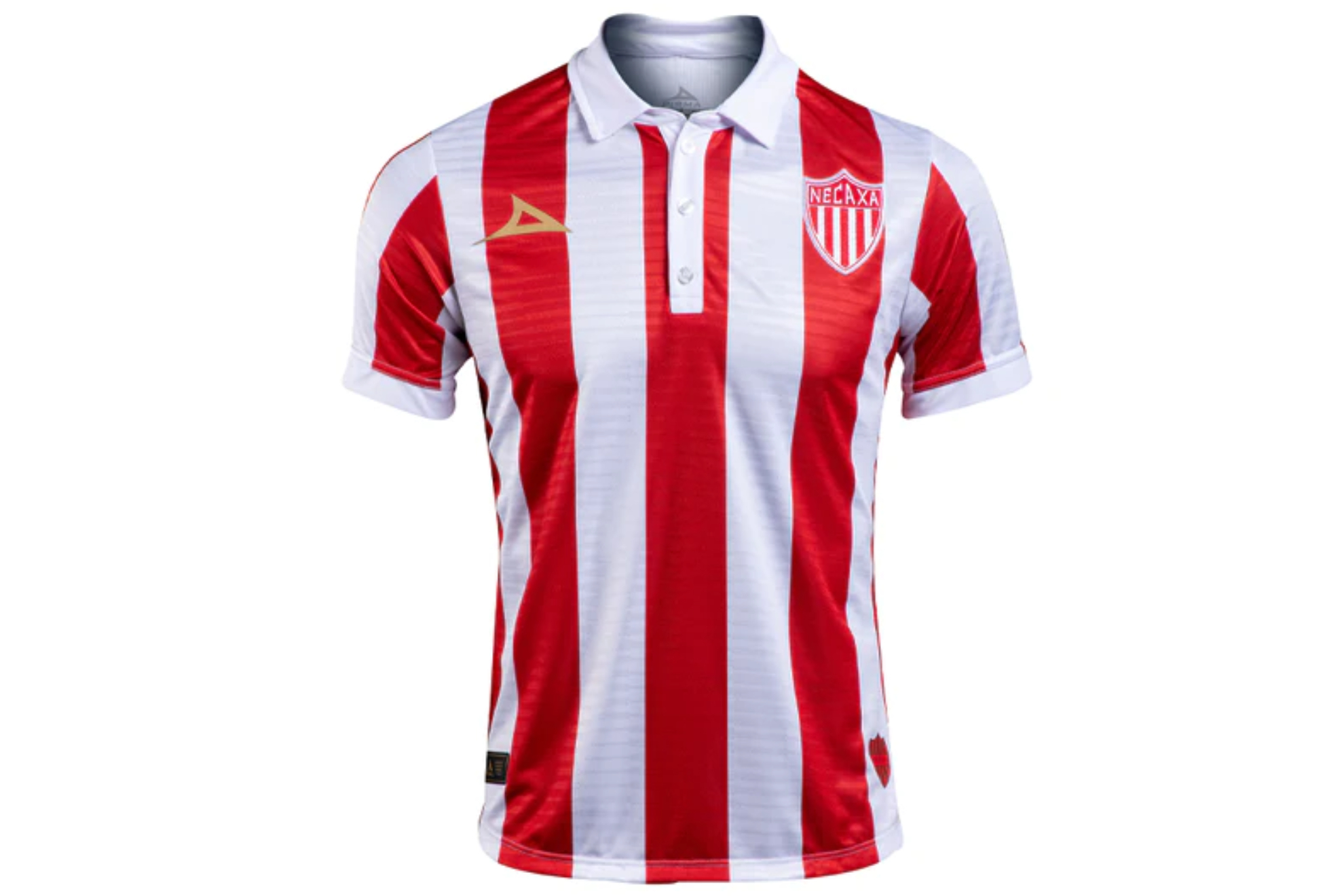 Liga MX 2023: Necaxa revela hermoso jersey para celebrar centenario ...