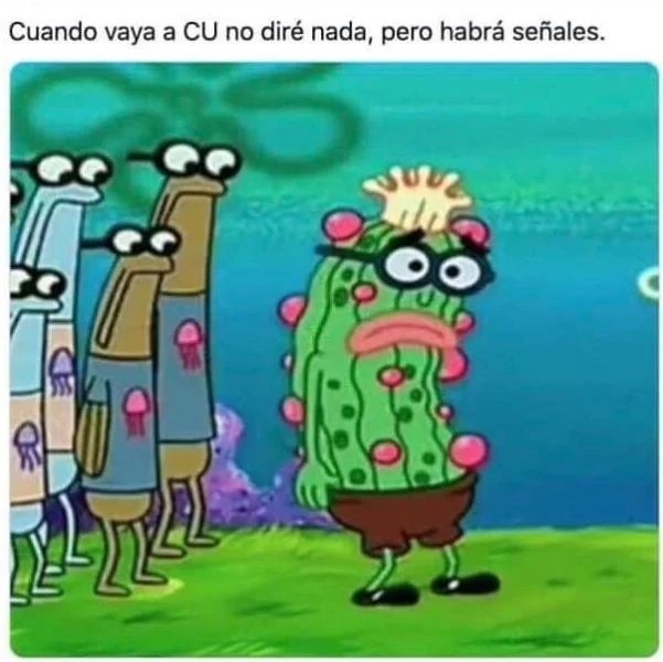 Los mejores memes de las chinches en la UNAM - Dicen que es una ...