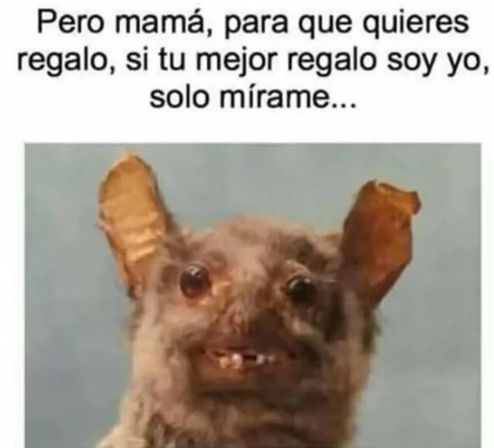Día de las Madres: los memes más chistosos para mandar por WhatsApp ...