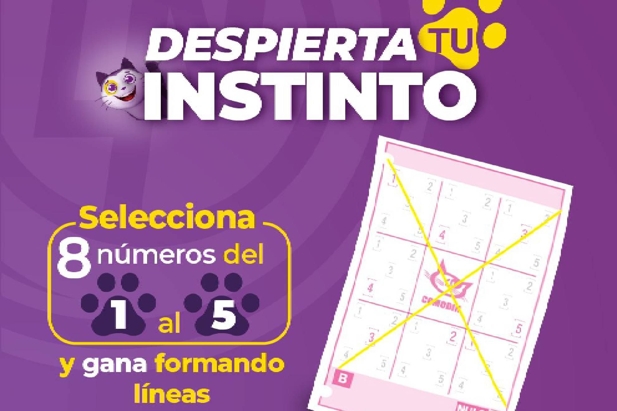 Resultados del Gana Gato hoy: números ganadores del sorteo del sábado ...