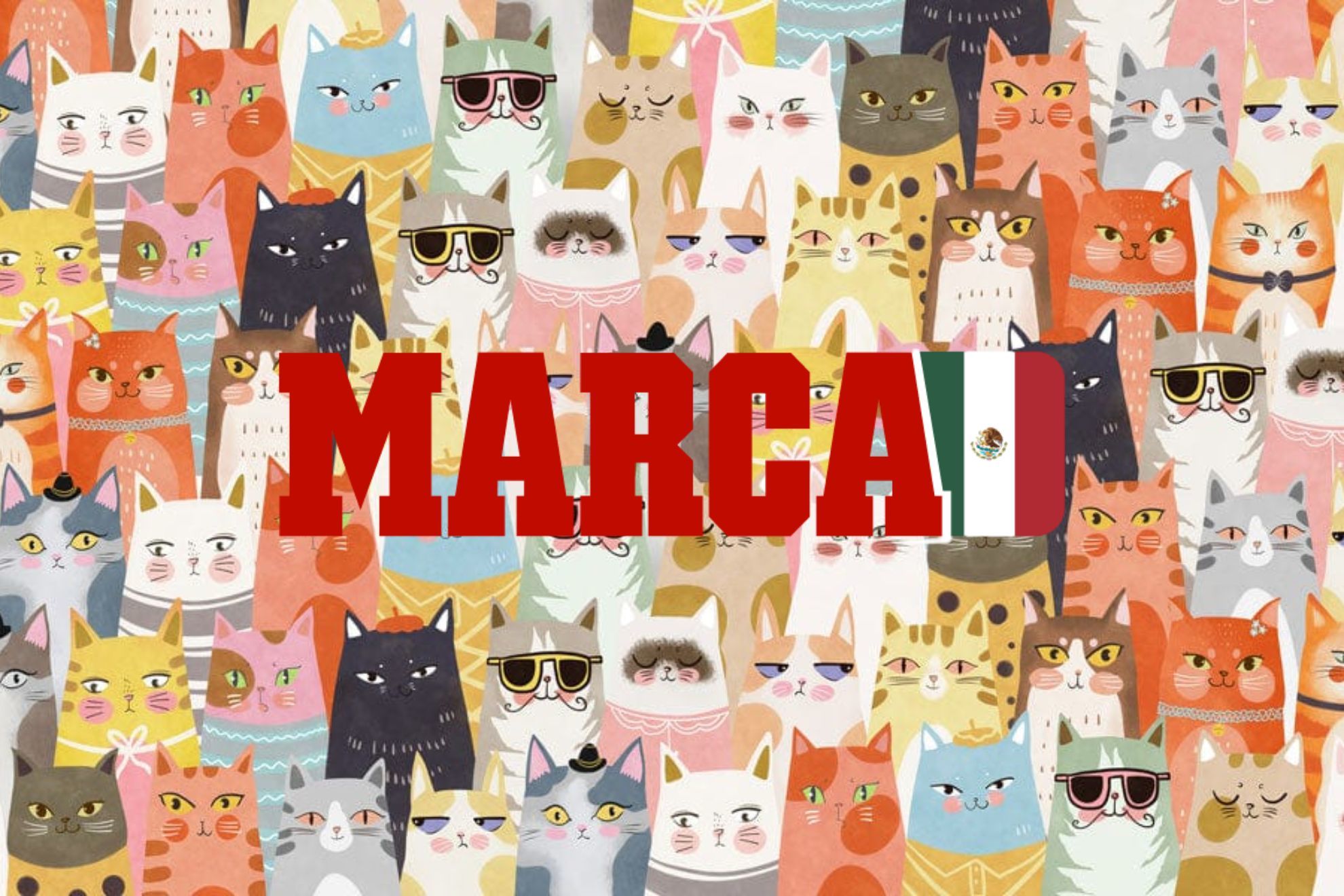 Gatos - Últimas noticias en MARCA México