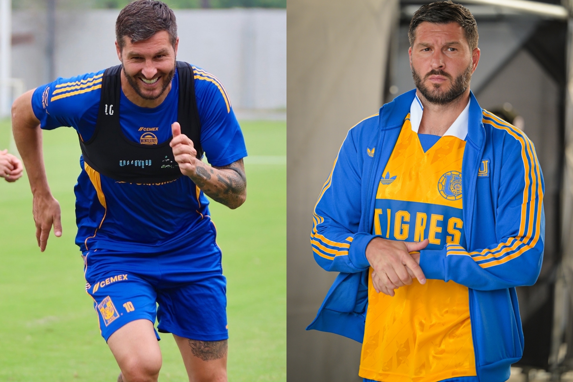 Noticias Club Tigres UANL hoy - MARCA México