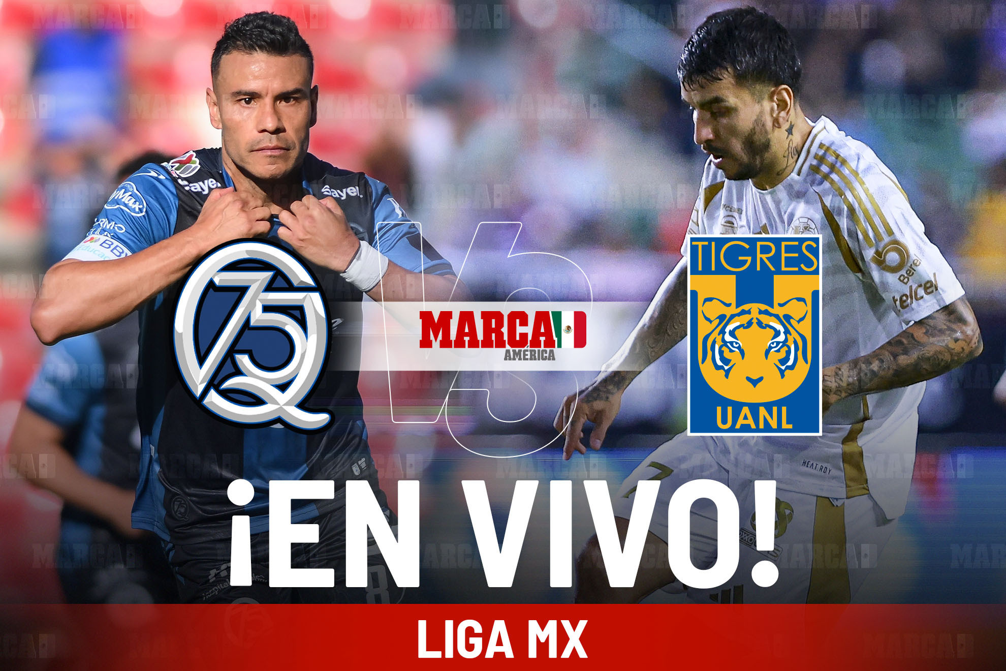 Noticias Club Tigres UANL hoy - MARCA México