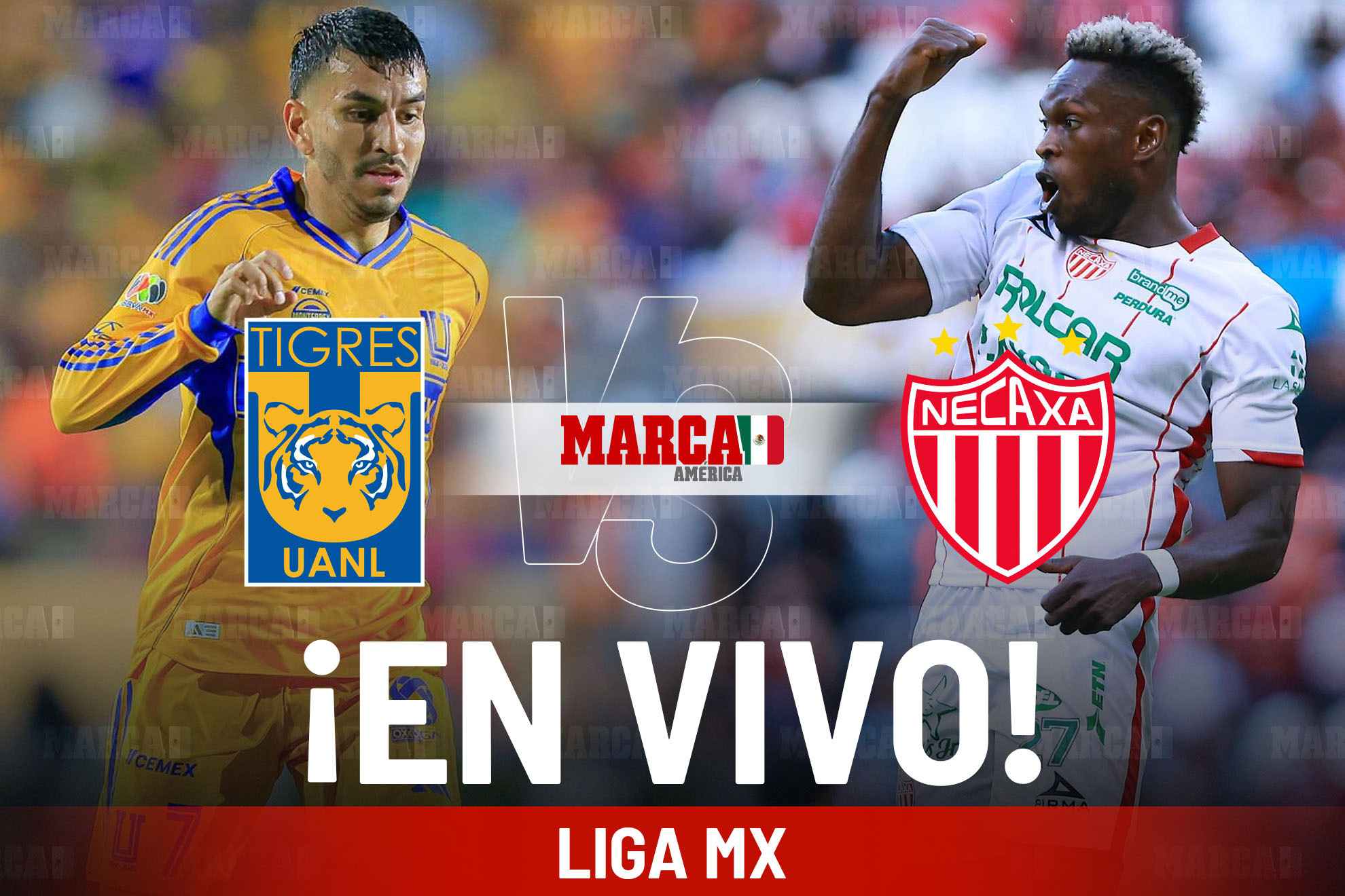 Noticias Club Tigres UANL hoy - MARCA México