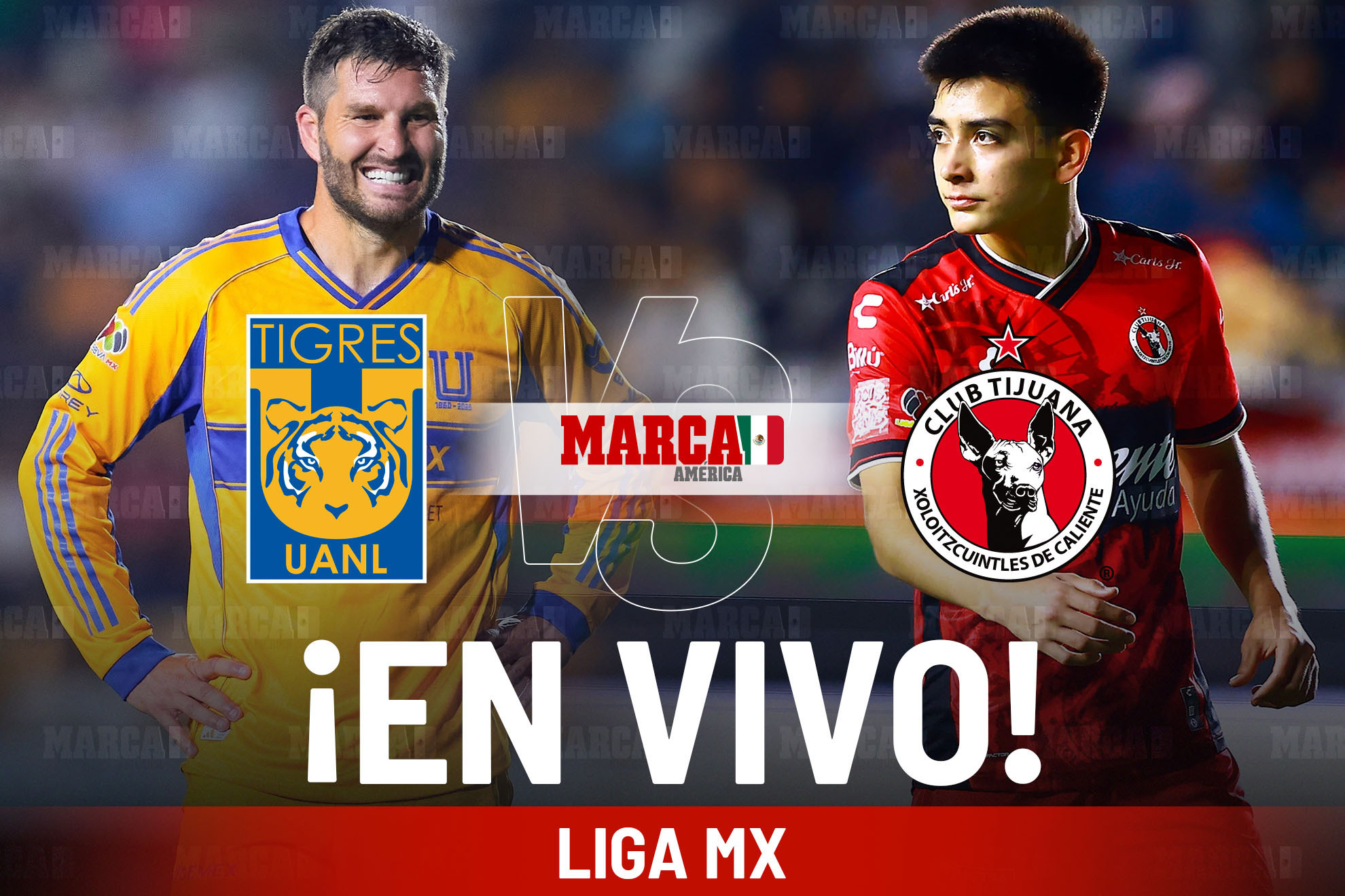 Noticias Club Tijuana hoy - MARCA México