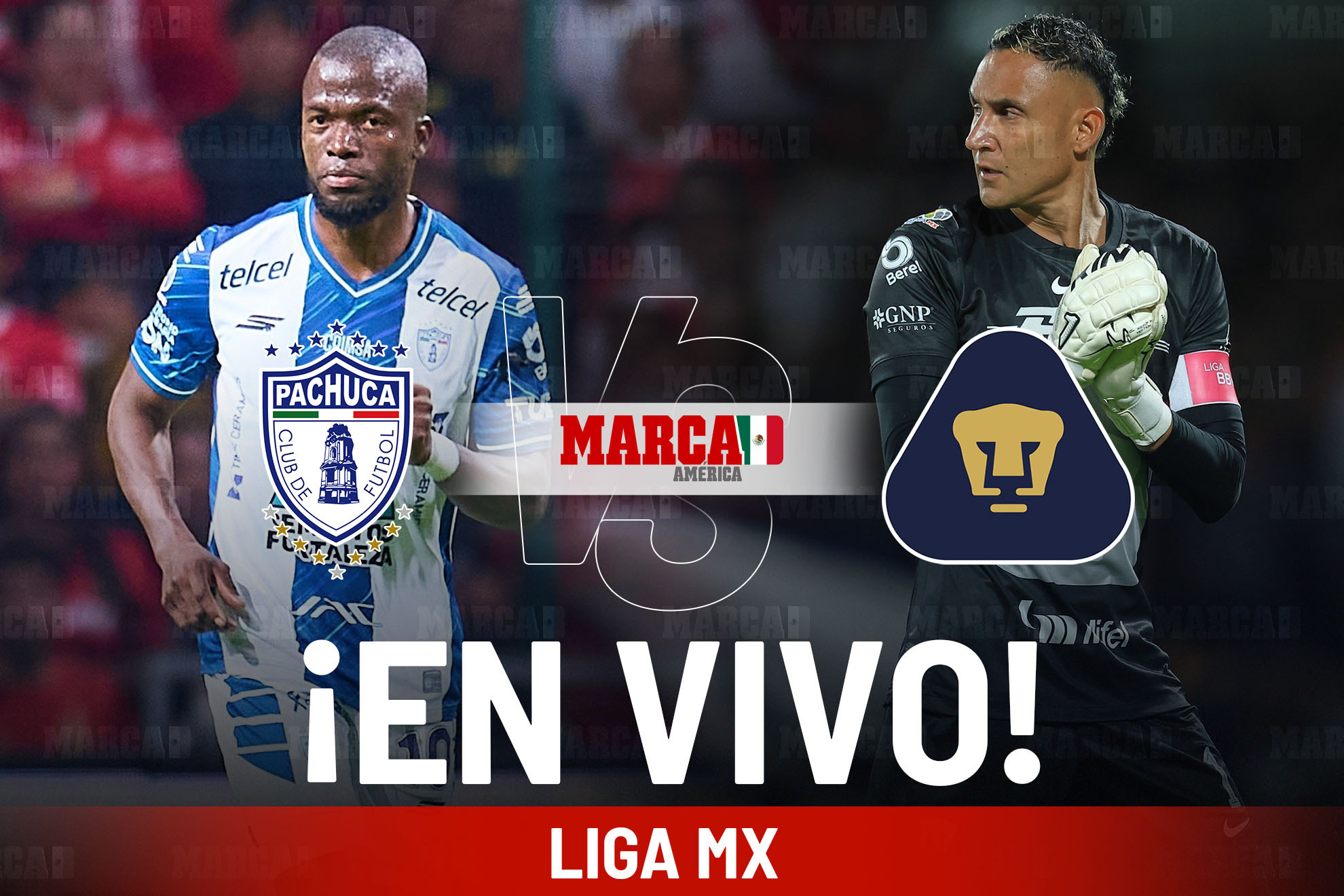 Film bokep si montok