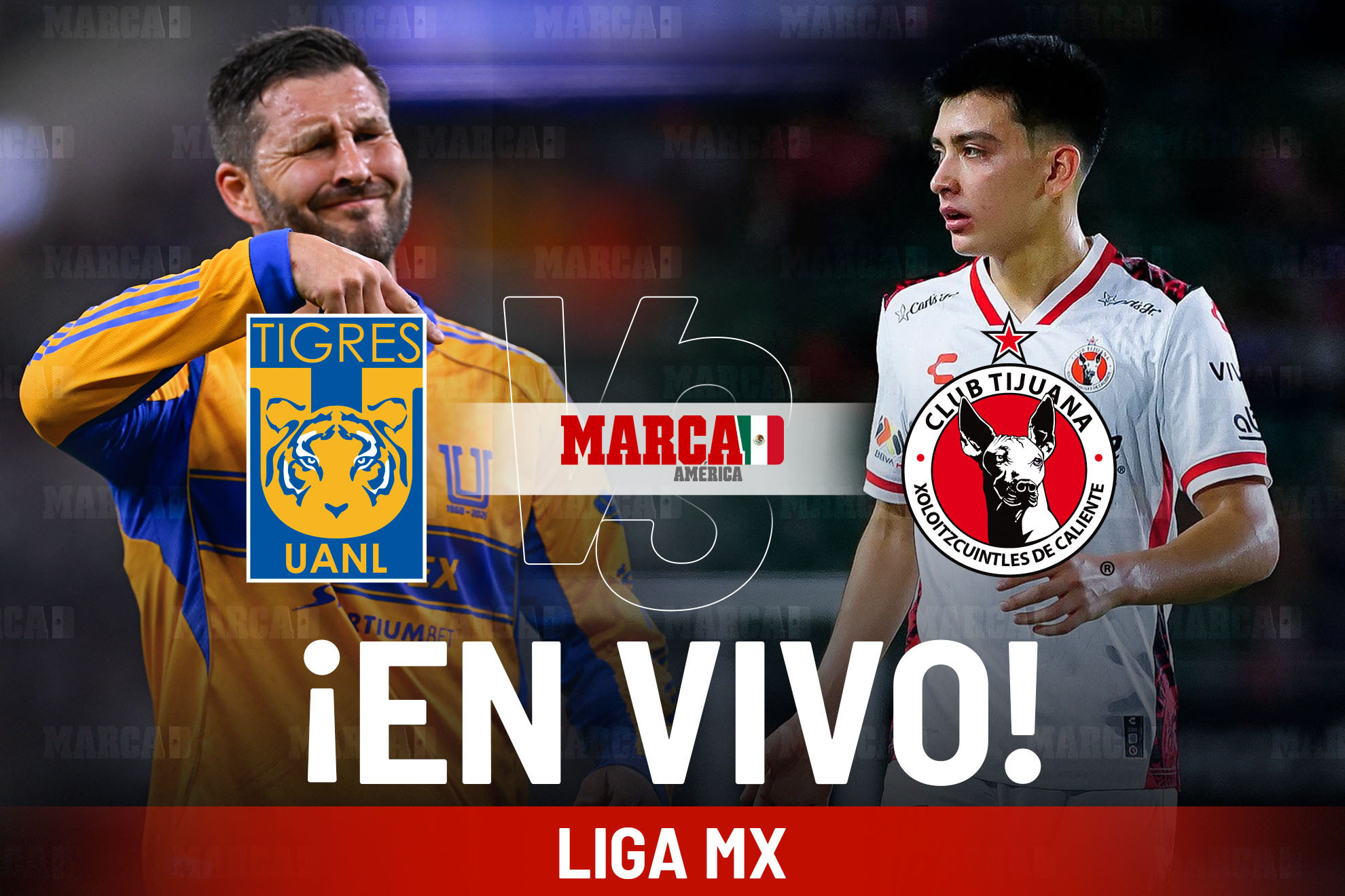 الاء خليفة سكس