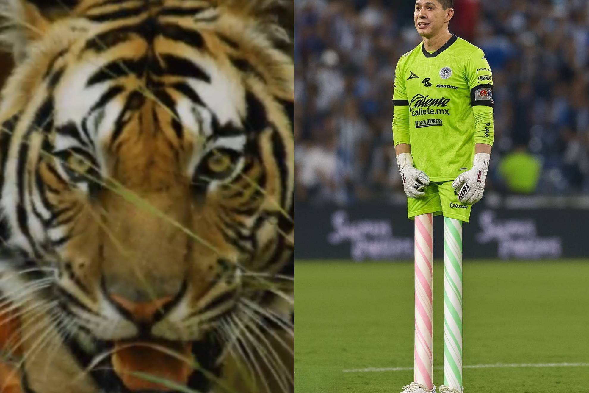 Liga MX 2025MEMES de Tigres vs. Toluca no dejan en paz a Hugo González ...