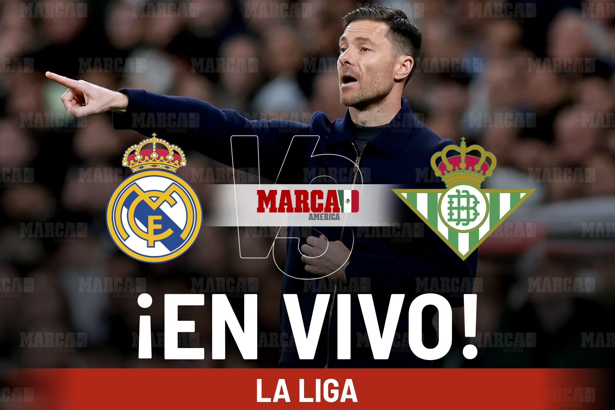 Vidio ngentot tante tante